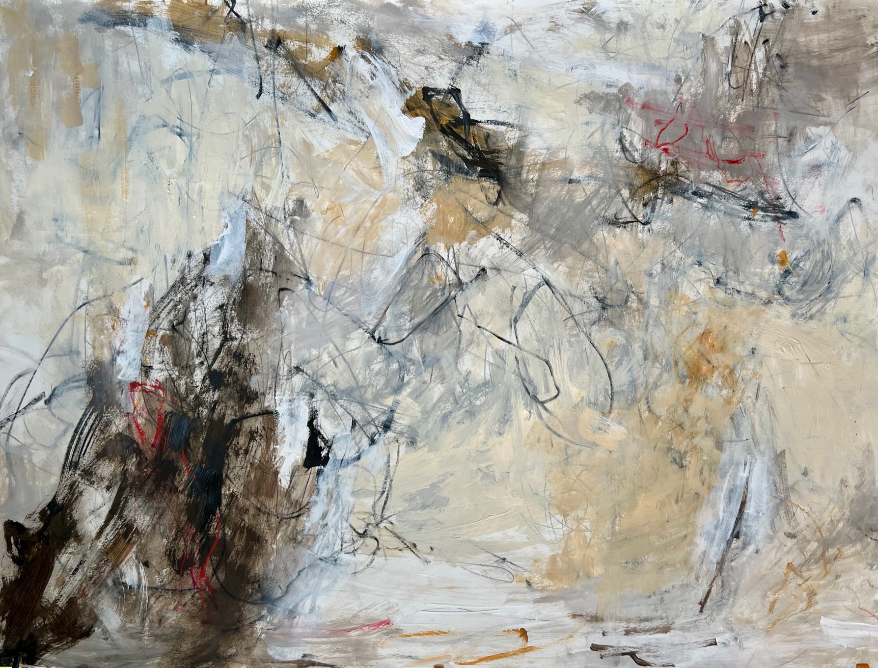 Nancy Hillis Paintings
